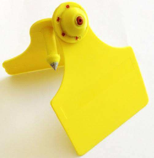 Cow Ear Tags yellow Color in Bangladesh PBS Animal Health