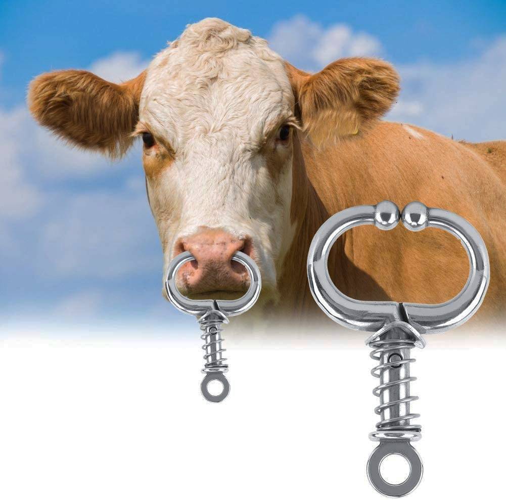 Stainless Steel Nose Ring ready stock in Bangladesh